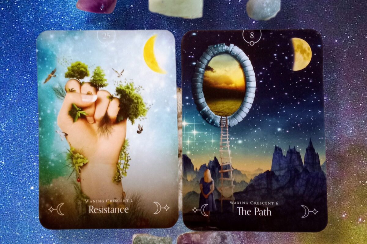 Quick Draw Daily Oracle Card ~ Feeling a Bit Prickly?